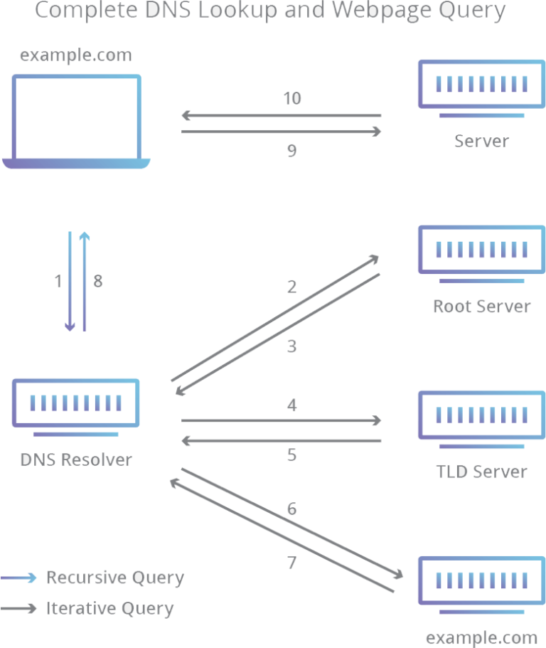Domain Name System (DNS) - DEVGuide