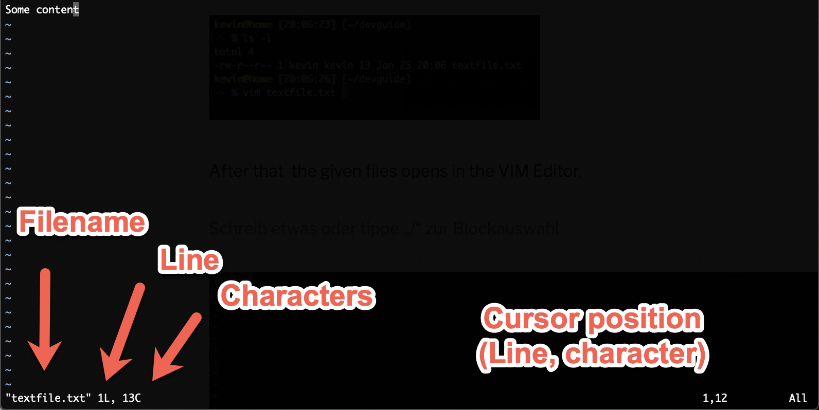 Text editor inside a terminal (VIM) - DEVGuide